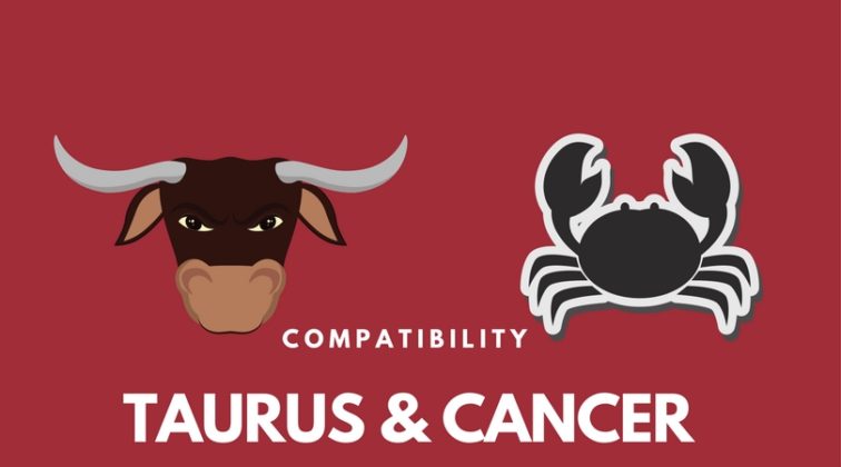Taurus and Cancer Compatibility | HoroscopeFan